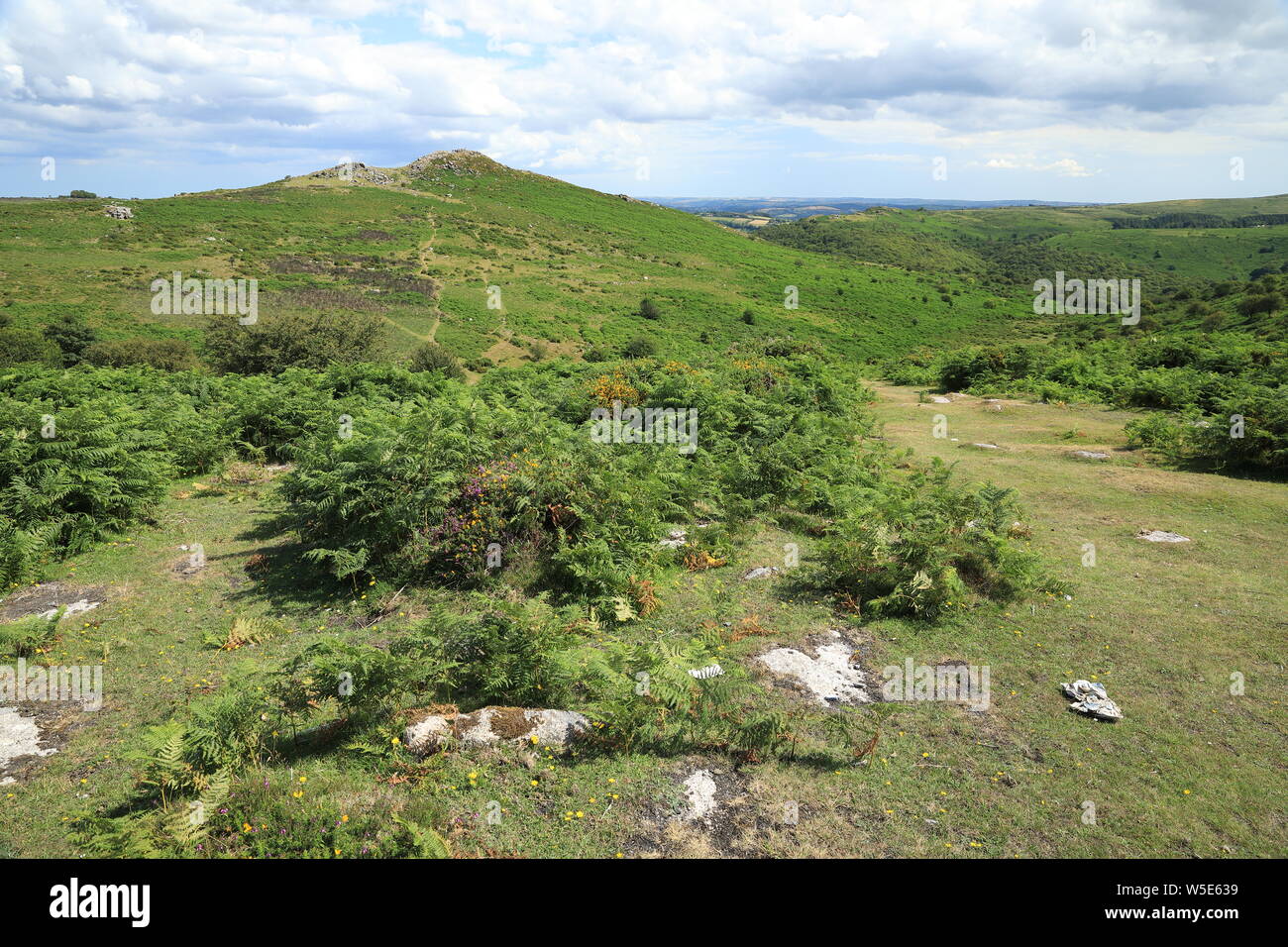 Sharp tor, near Dartmeet,Dartmoor National Park, Devon, England Stock ...