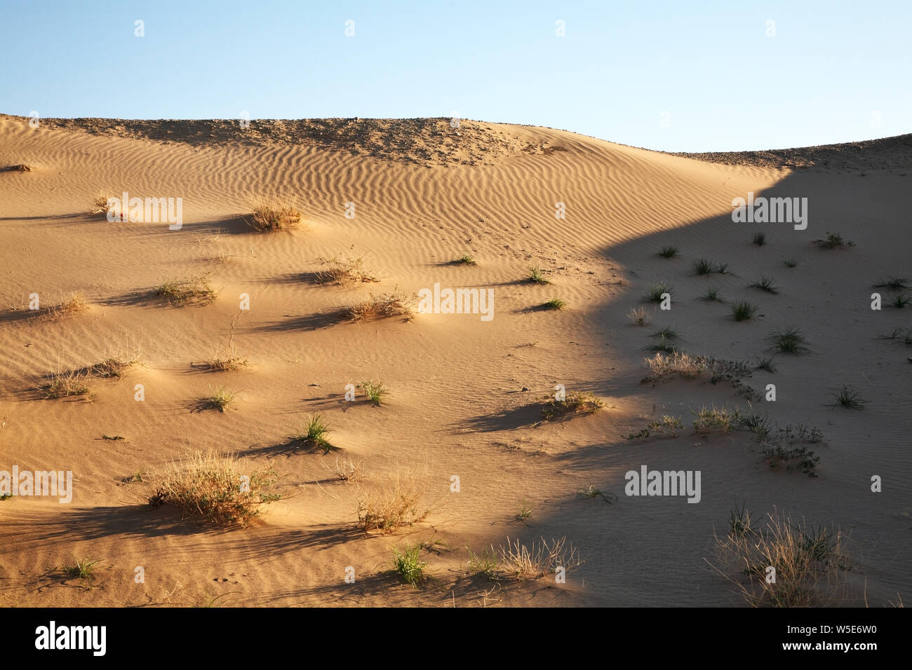 Gobi Desert near Sainshand. Mongolia Stock Photo - Alamy