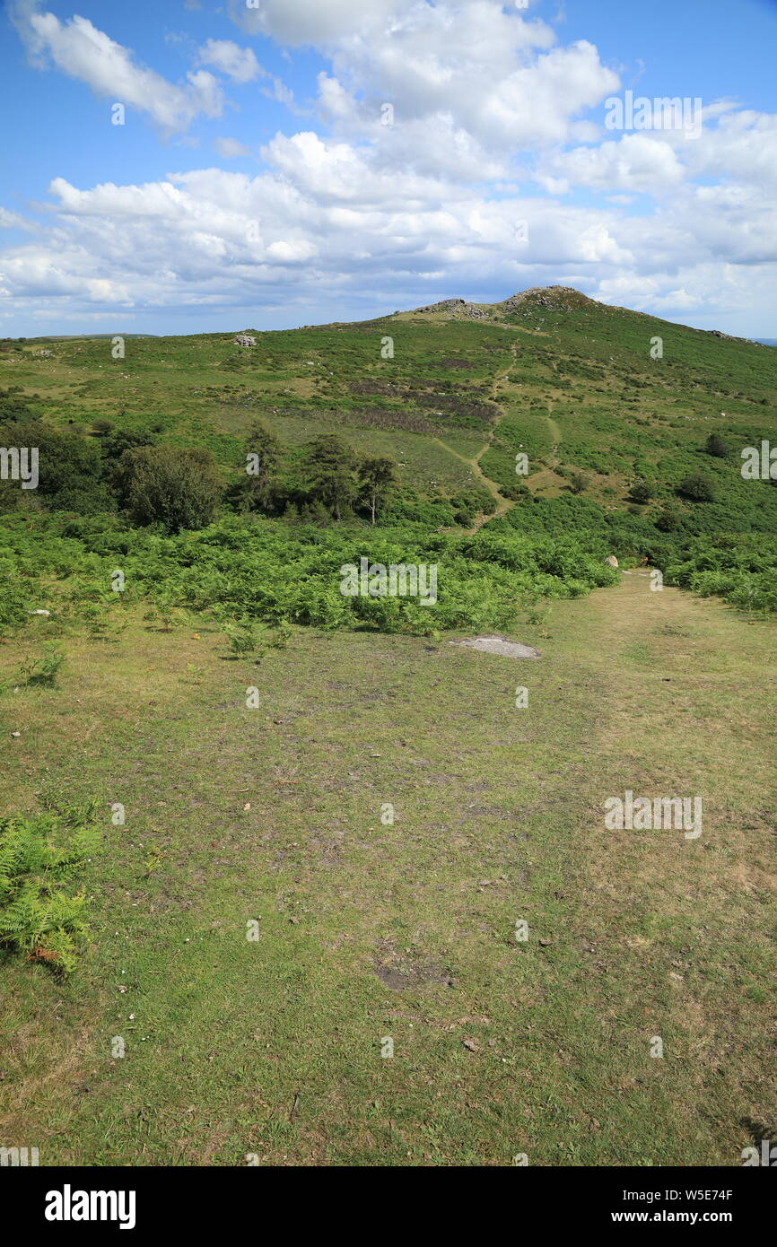 Sharp tor, near Dartmeet,Dartmoor National Park, Devon, England Stock ...