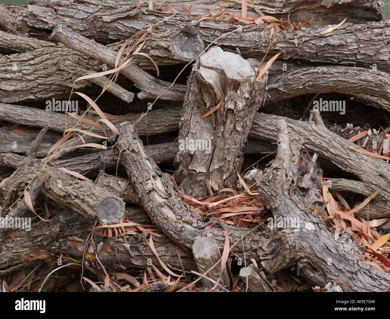 Pile of small and thin logs Stock Photo - Alamy