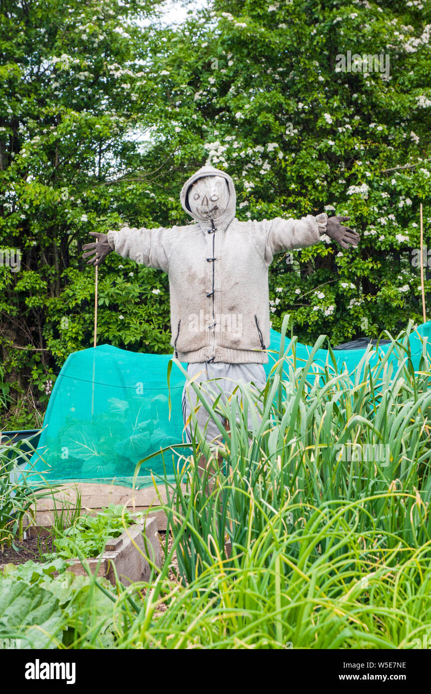 Protector of crops hi-res stock photography and images - Alamy