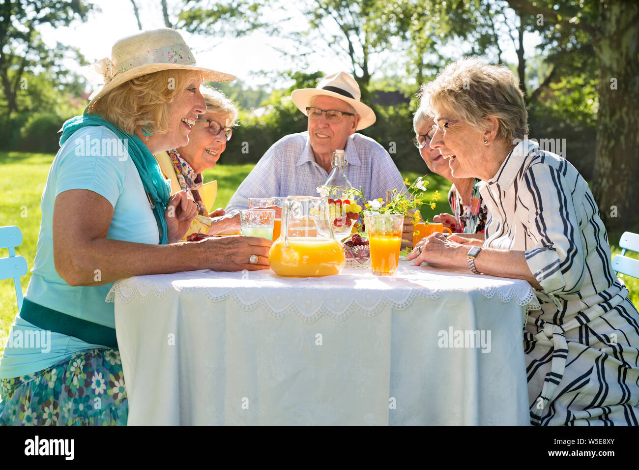 Having a picnic at a table in a park hi-res stock photography and ...
