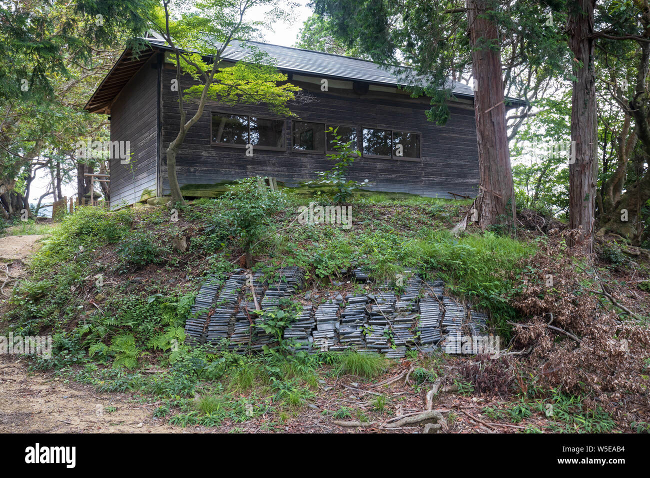 Wooden mountain hut in forest on hill reinforced with ancient clay roof ...