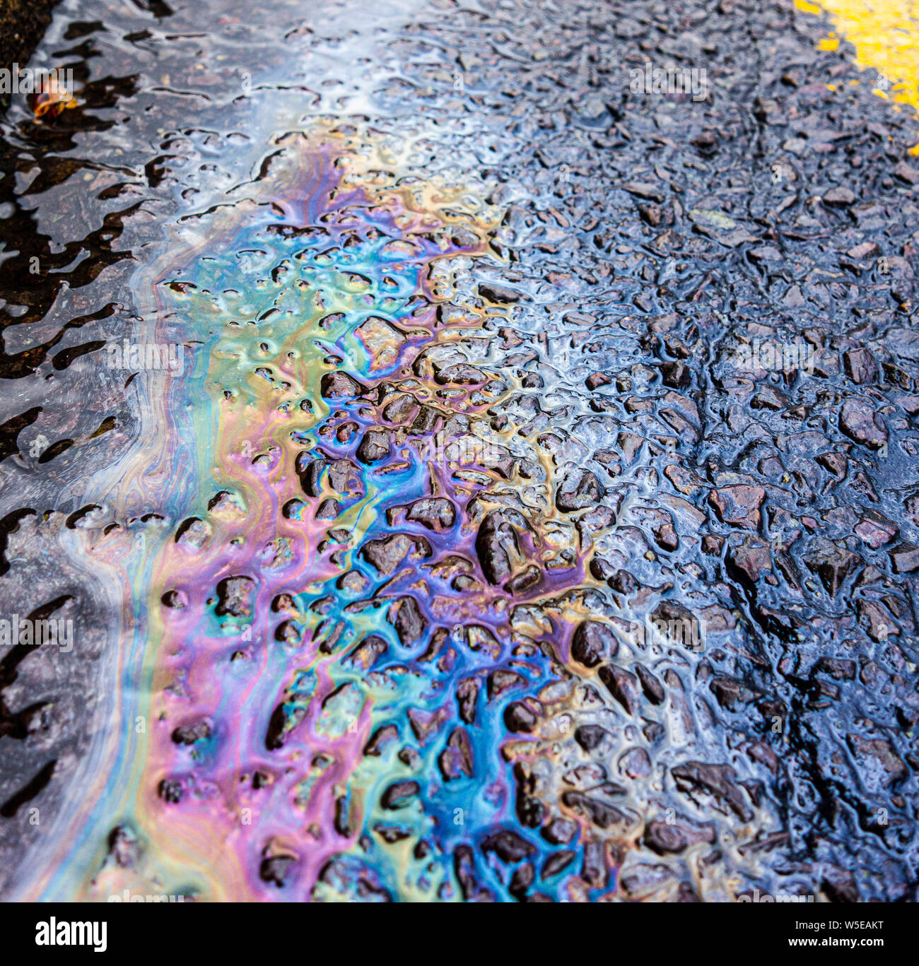 Road Spill High Resolution Stock Photography and Images - Alamy