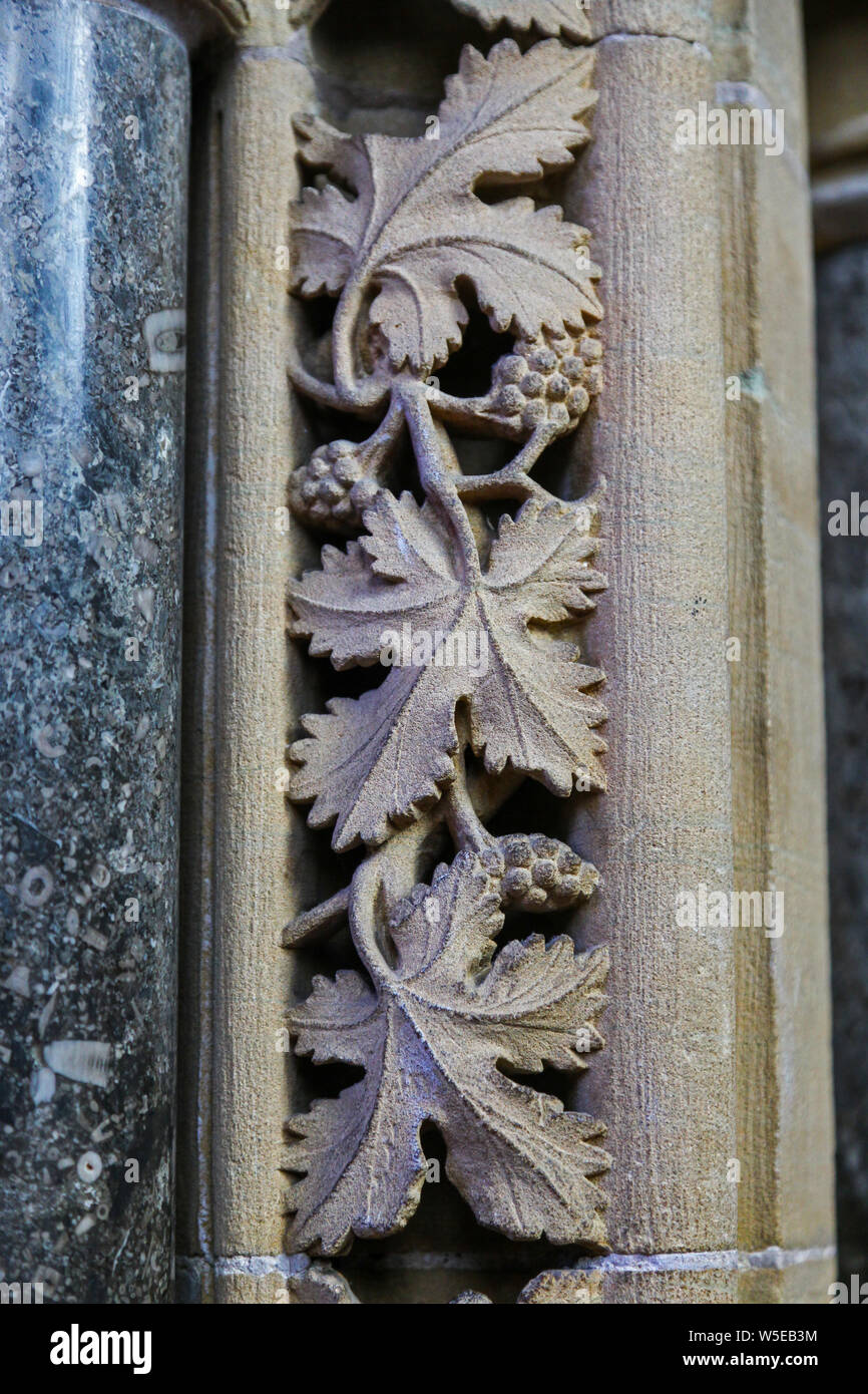 The leaves of Southwell in the 13th century Chapter House at the ...