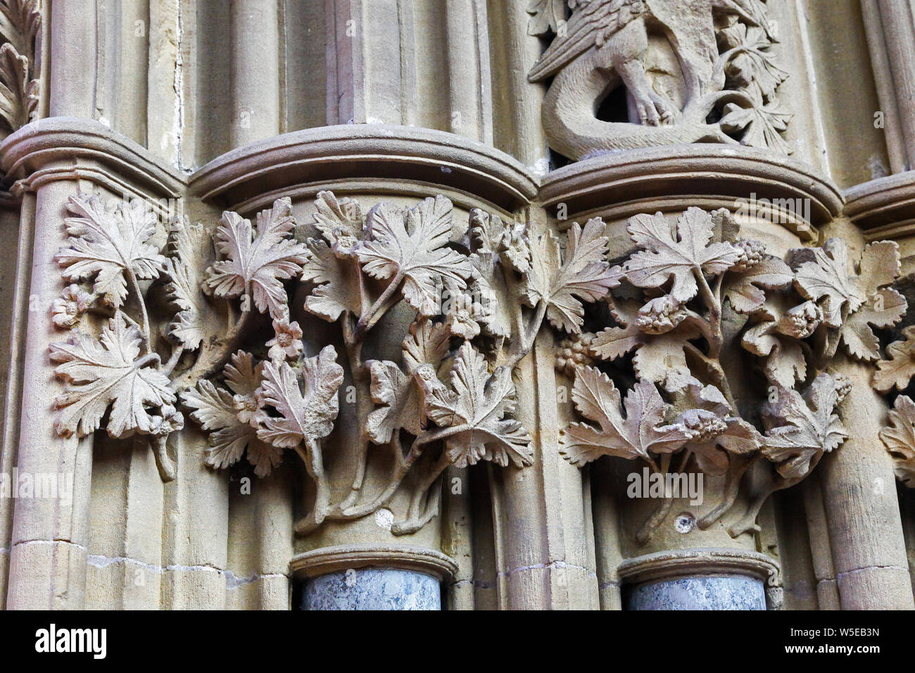 The leaves of Southwell in the 13th century Chapter House at the ...
