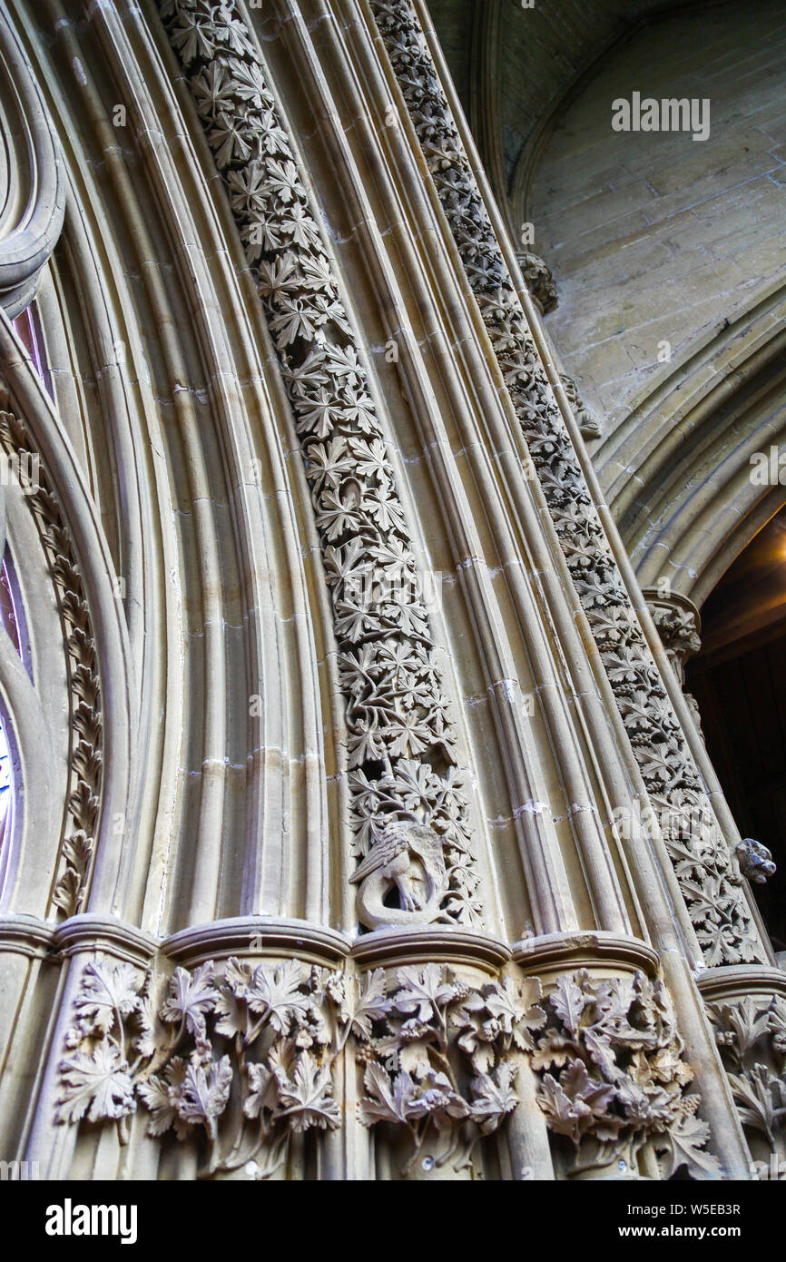 The leaves of Southwell in the 13th century Chapter House at the ...