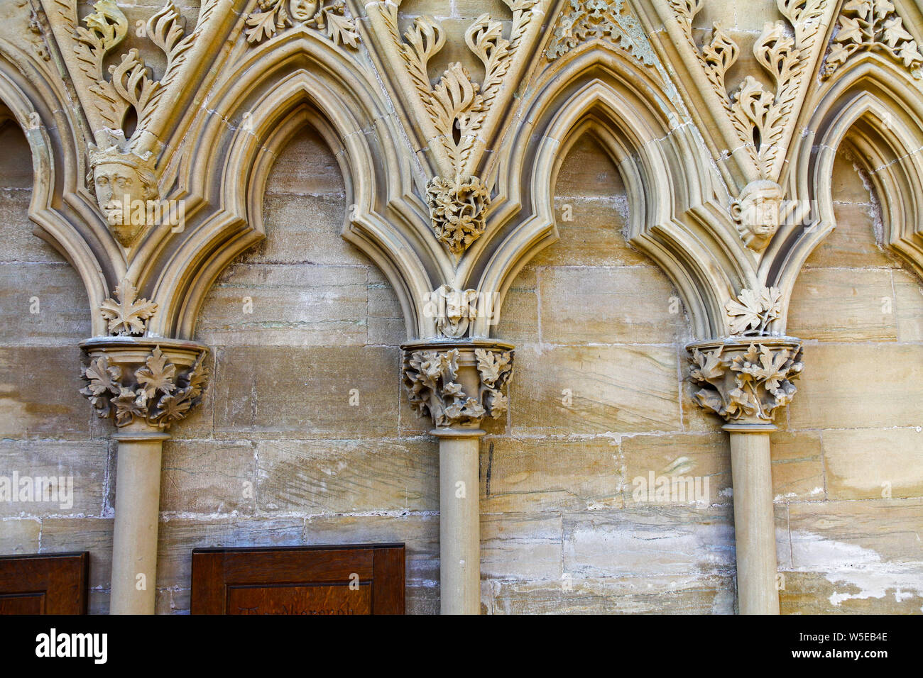The leaves of Southwell in the 13th century Chapter House at the ...