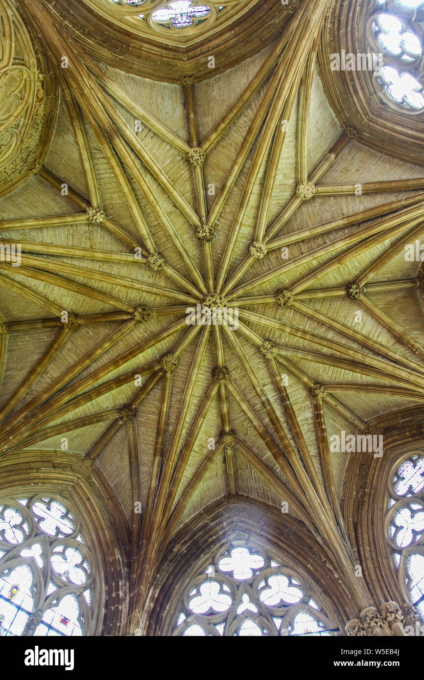 The leaves of Southwell in the roof of the 13th century Chapter House ...