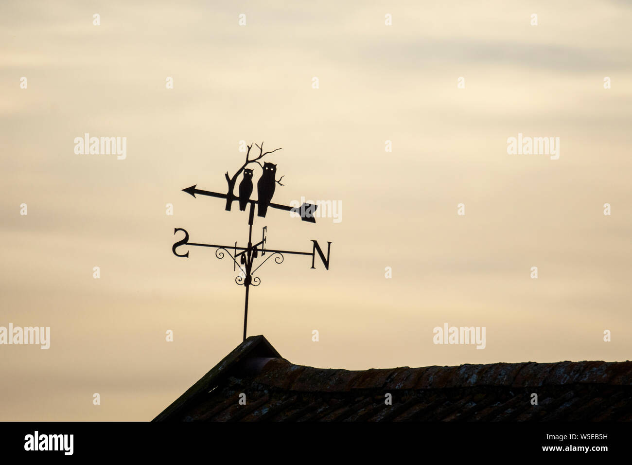 Wind vane bird hi-res stock photography and images - Alamy