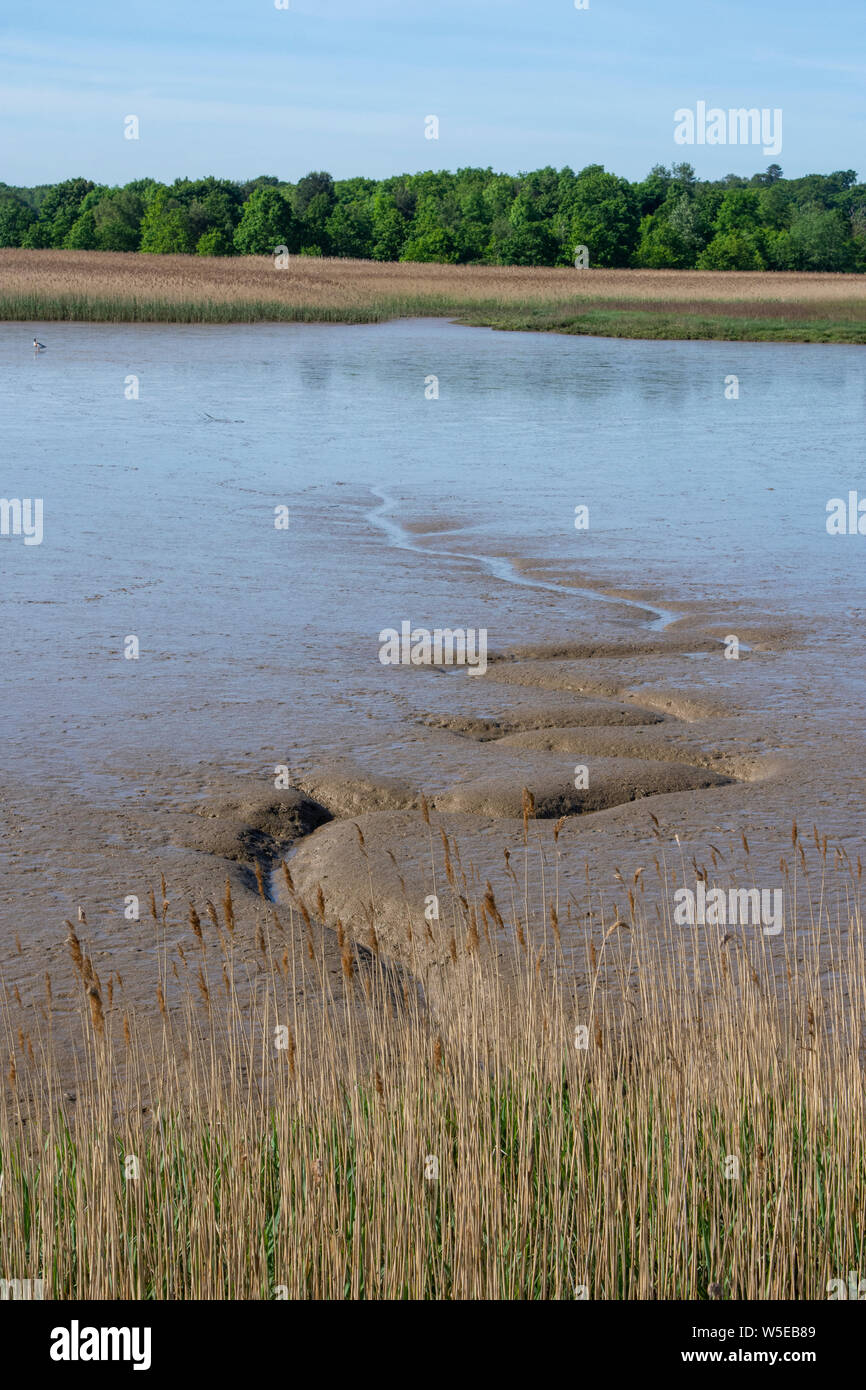 Intertidal estuary hi-res stock photography and images - Alamy