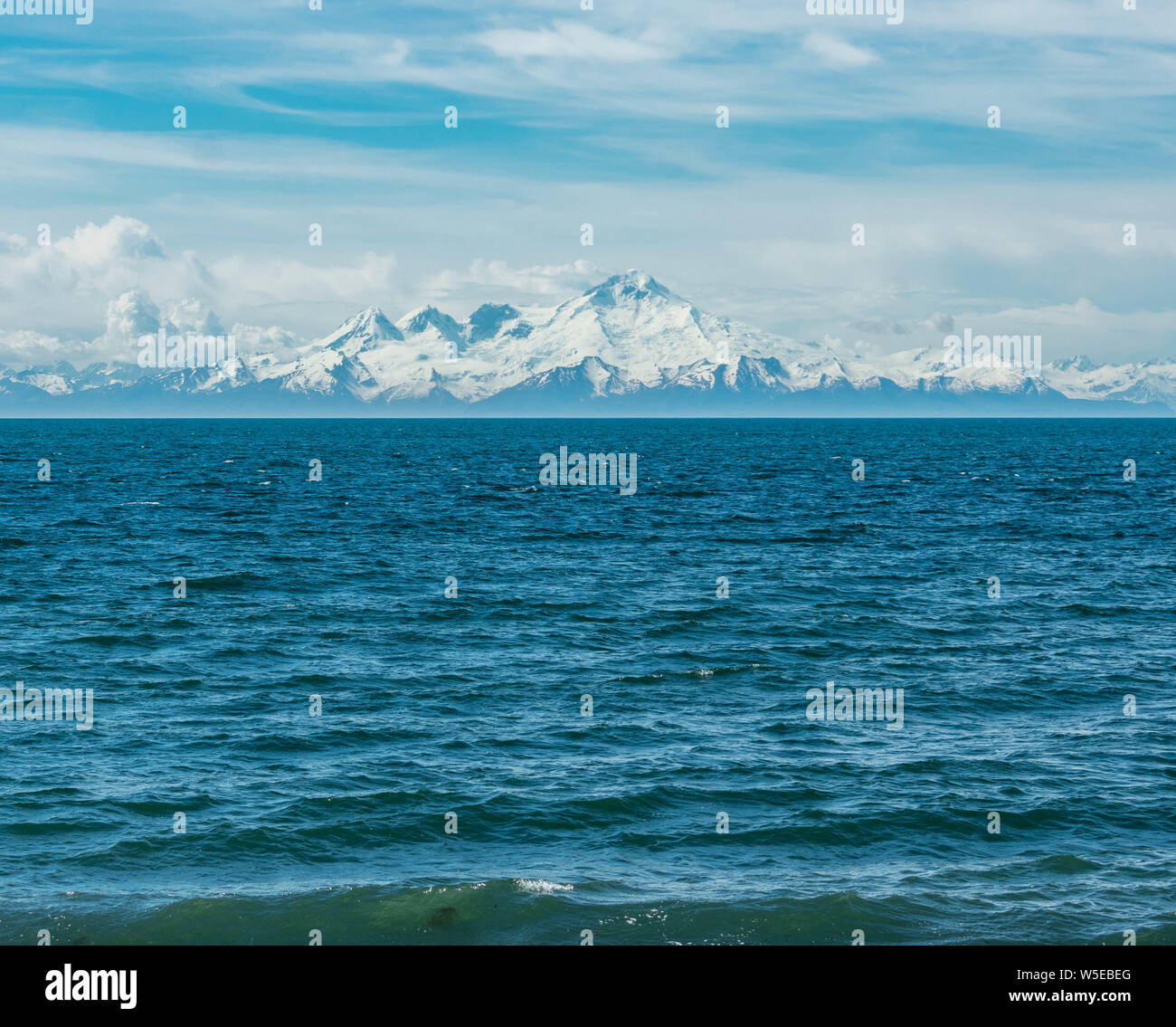 Giant halibut hi-res stock photography and images - Alamy