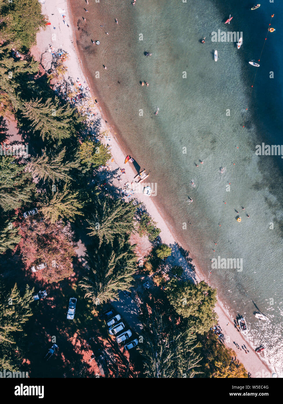 Wanaka lakefront in summer Stock Photo - Alamy
