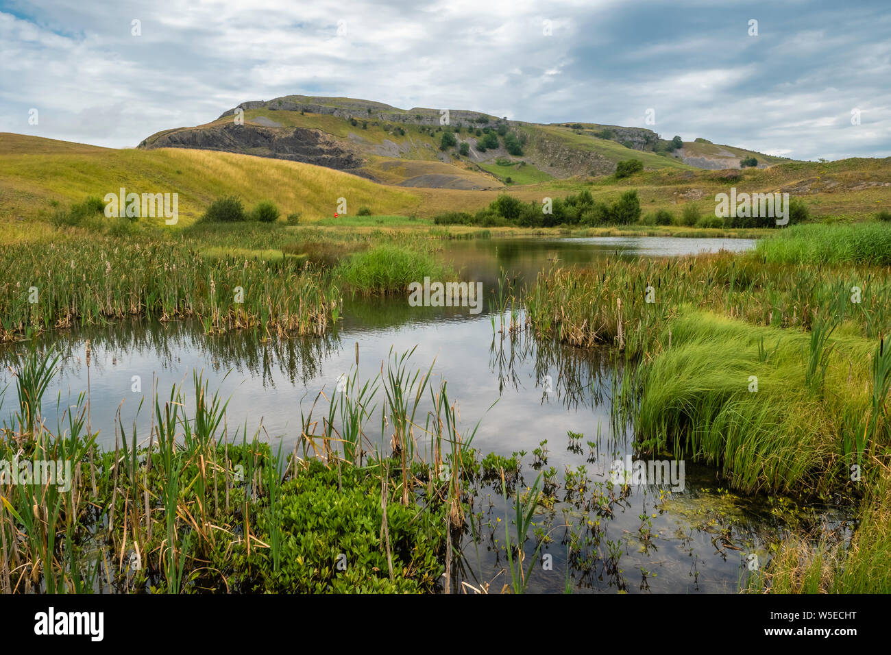 Moughton Scar and Dry Rigg Quarry in Horton in Ribblesdale in the ...