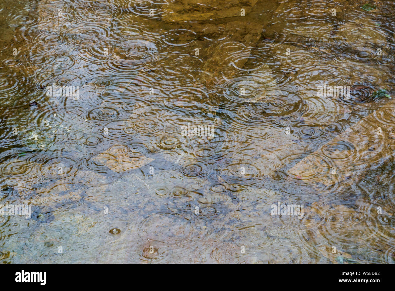 Rain drops splashing on the surface of water in a puddle texture ...