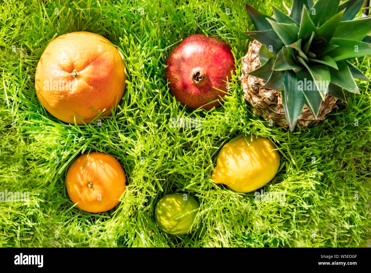 Bright exotic fruits in green grass. Grapefruit, mandarin, lemon, kiwi ...