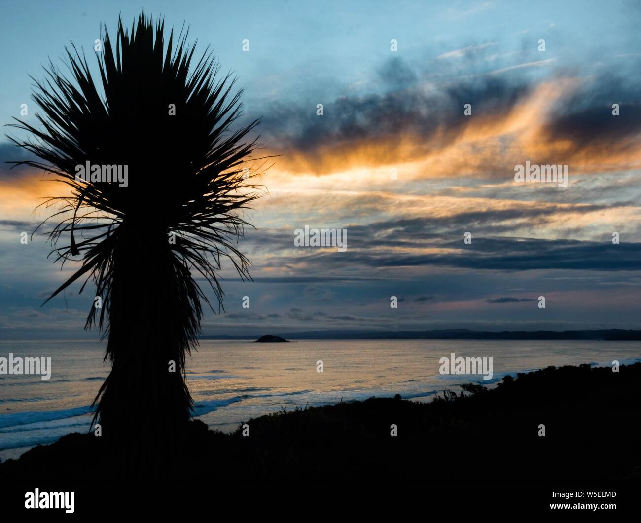 Dunedin skyline hi-res stock photography and images - Alamy