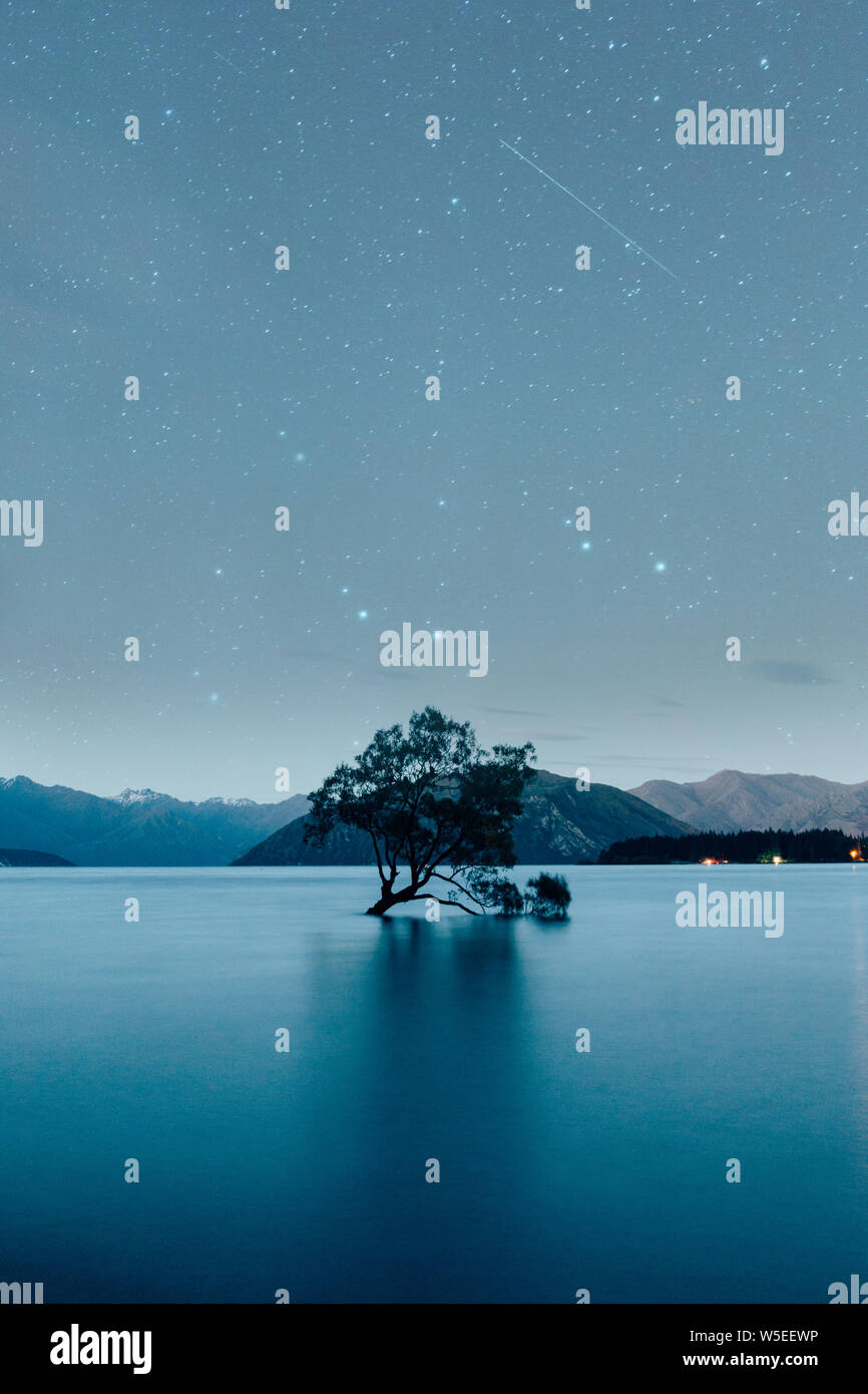 Wanaka tree night hi-res stock photography and images - Alamy