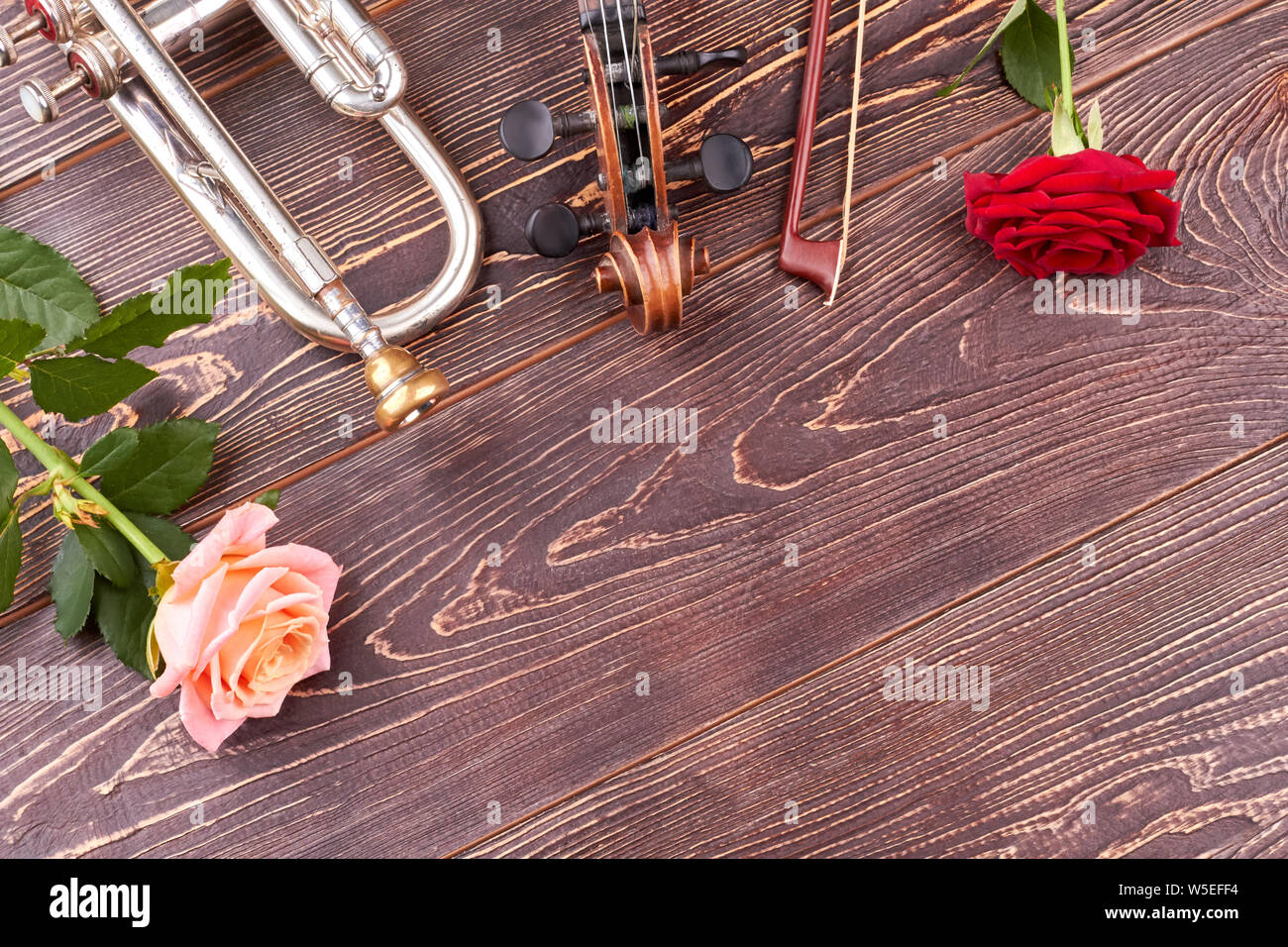 Cello flowers hi-res stock photography and images - Alamy