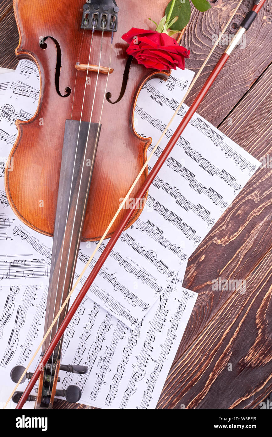 Retro violin, musical notes and red rose Stock Photo - Alamy