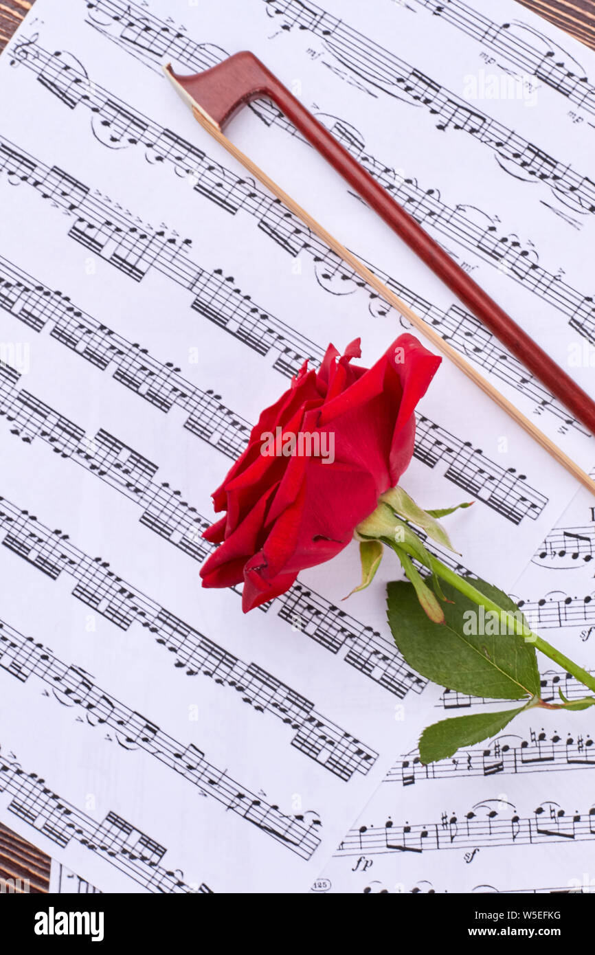 Violin bow and rose on music sheets Stock Photo - Alamy