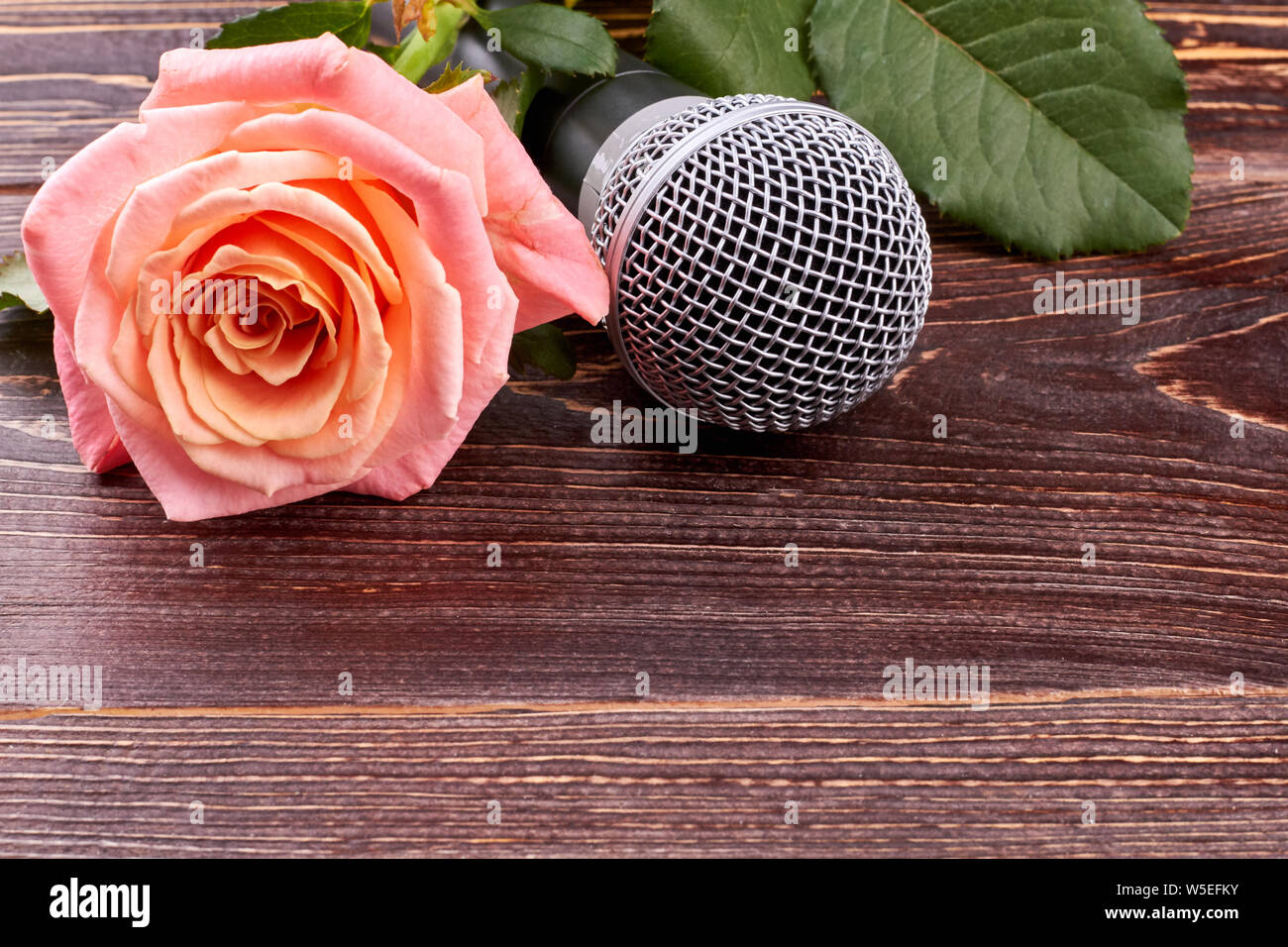 Microphone rose hi-res stock photography and images - Alamy