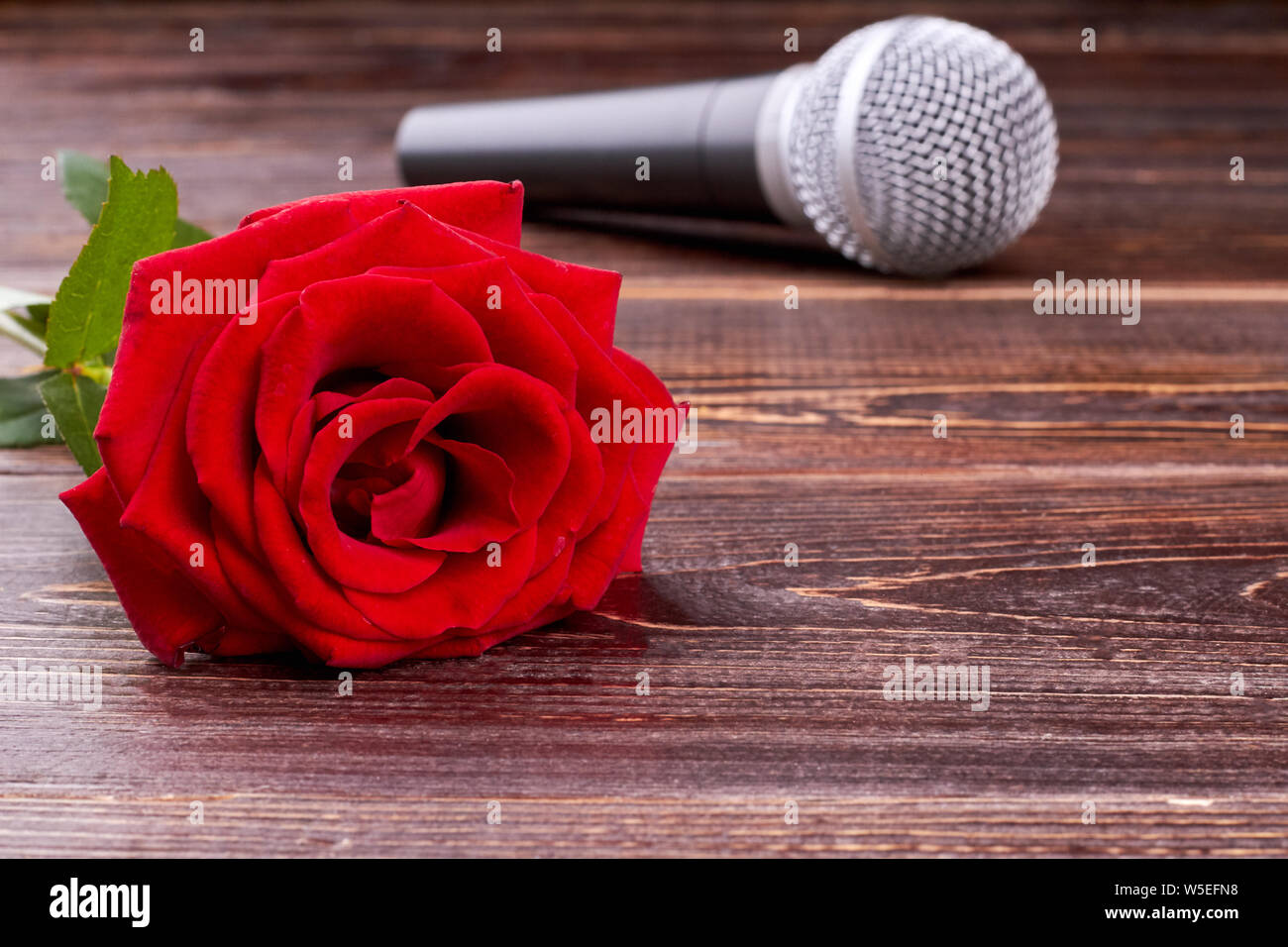 Microphone rose hi-res stock photography and images - Alamy