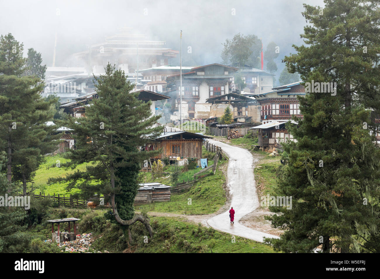 A monk walks up the road to the village and Gangtey Monastery in the ...