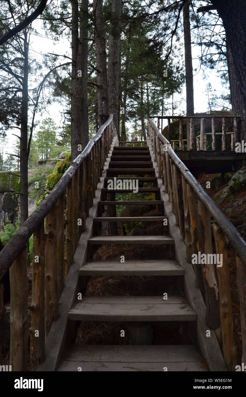 Wooden Stairs in the forest Stock Photo - Alamy