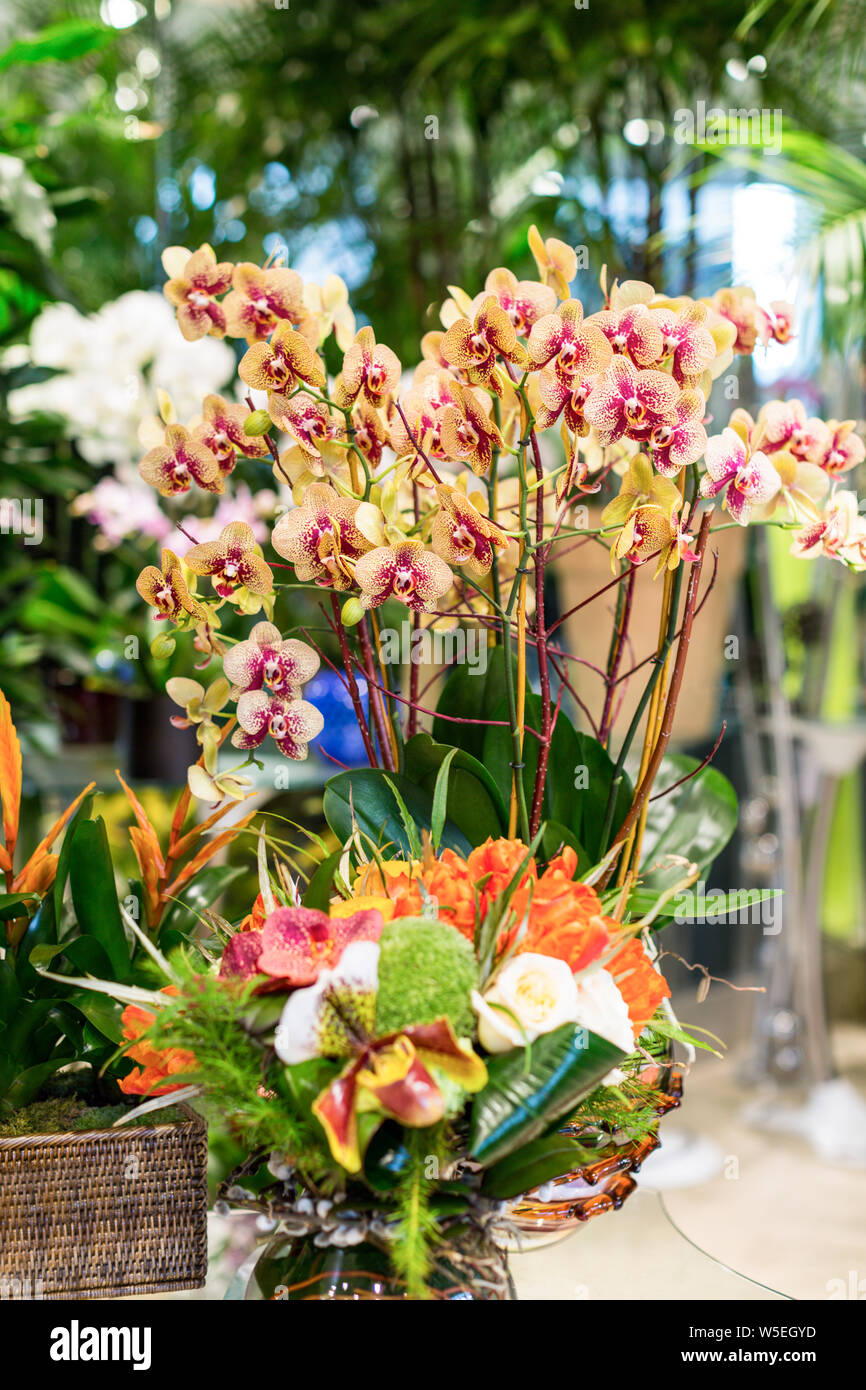 Flower displays in a Paris flower shop Stock Photo - Alamy