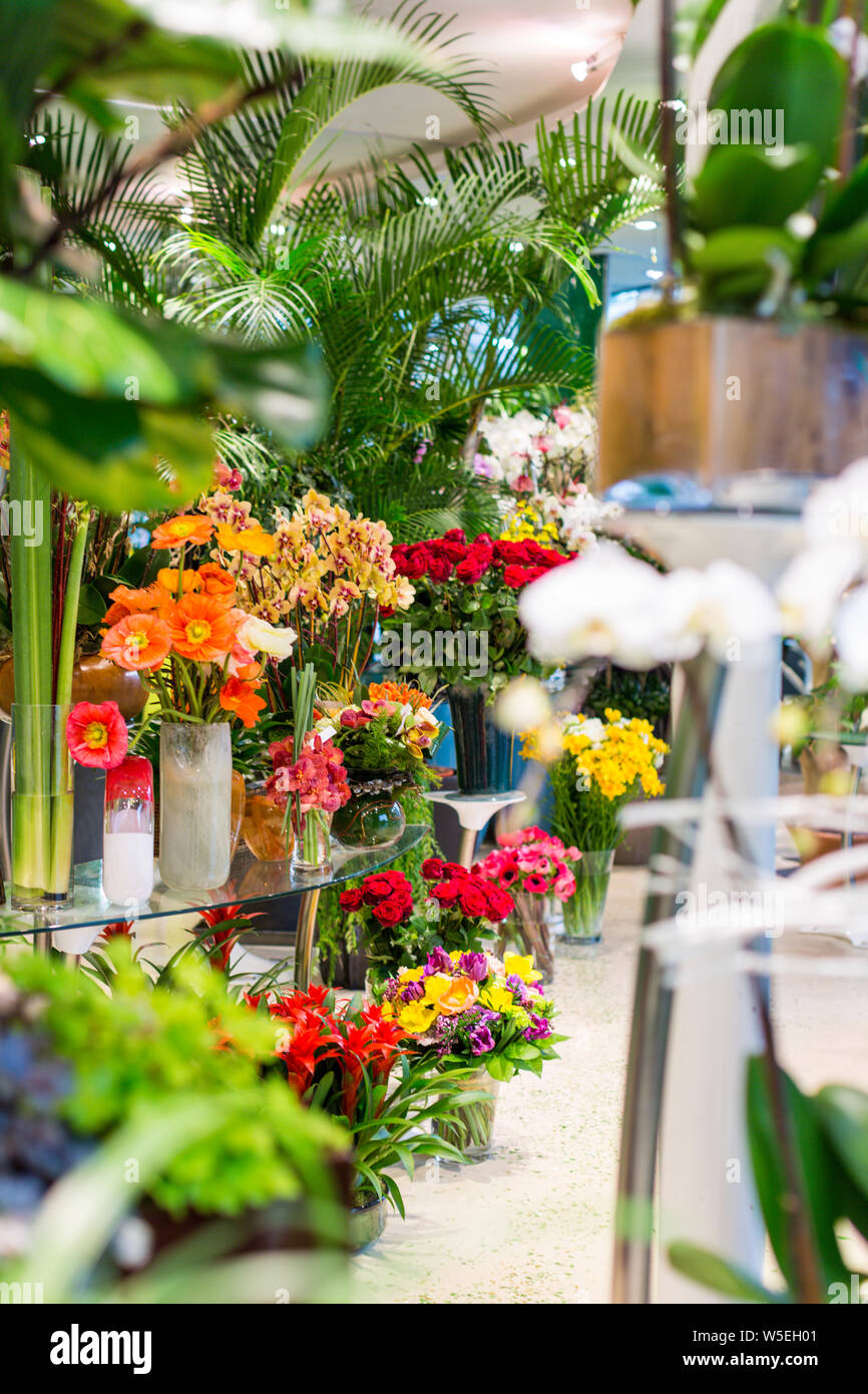Flower displays in a Paris flower shop Stock Photo - Alamy