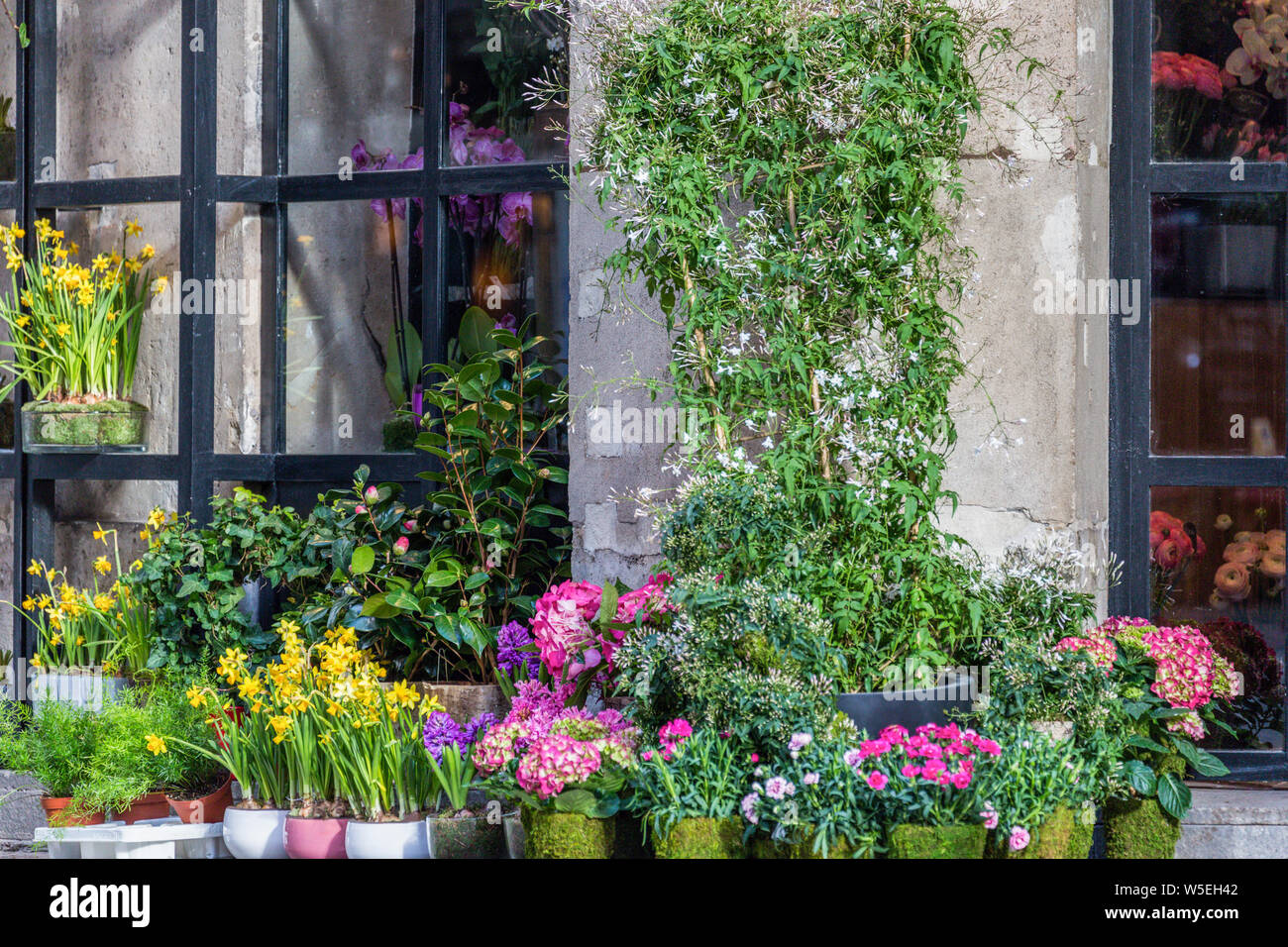 Flower shop exterior hi-res stock photography and images - Alamy