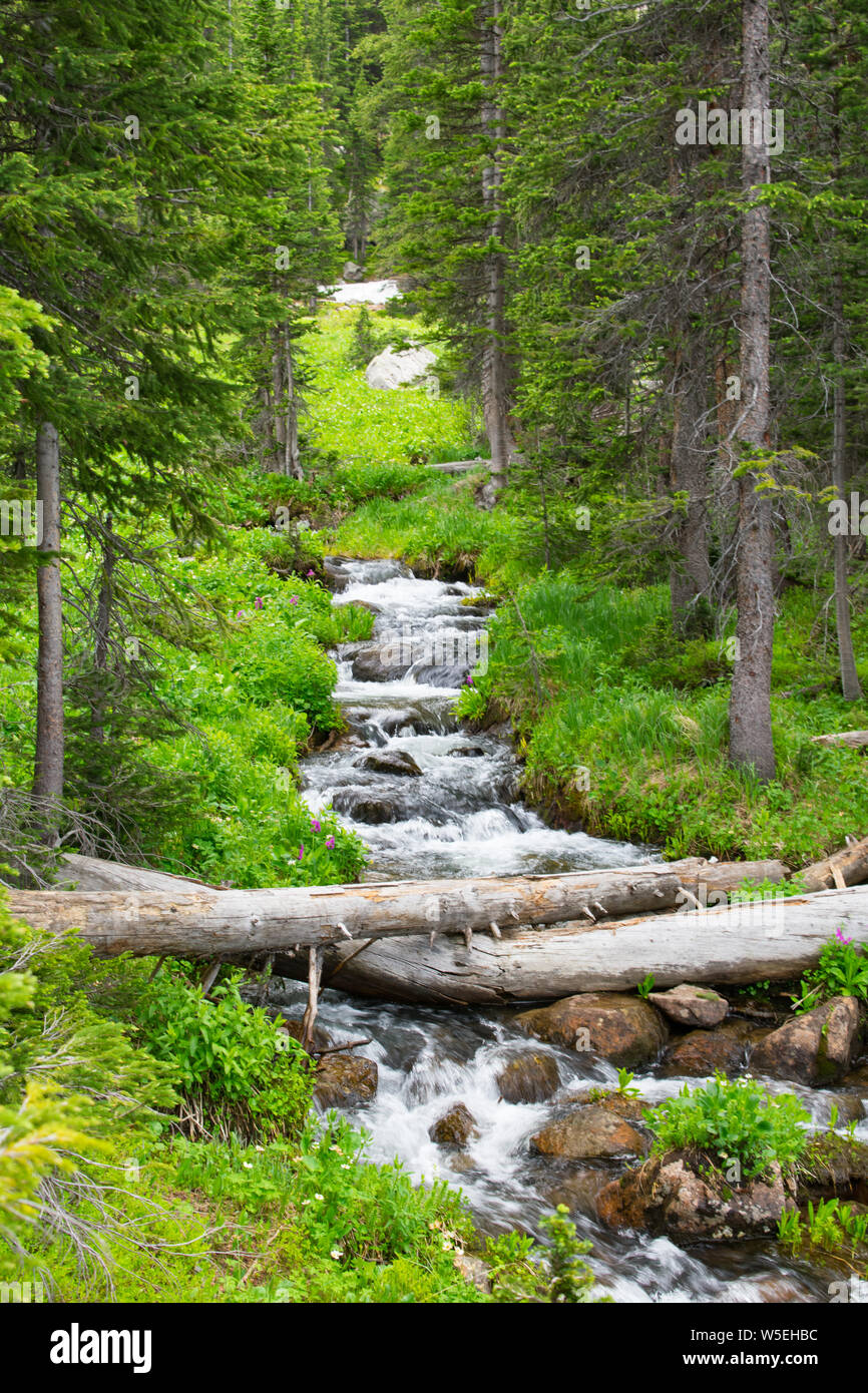 Hiking boots with mountains in the background in Vail Colorado Stock ...