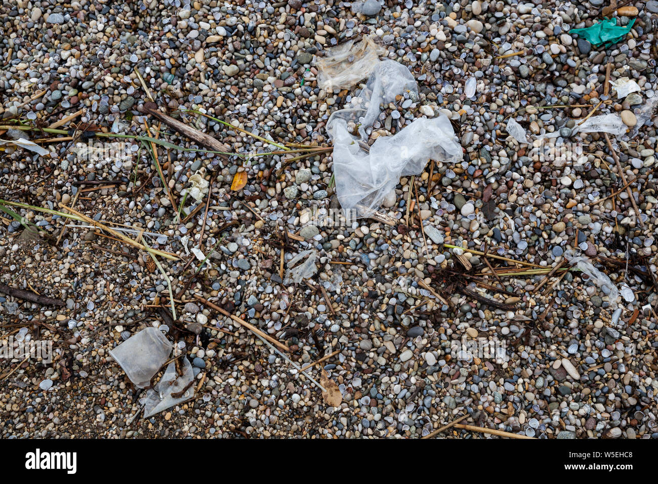 Plastic pollution on the shores of Lake Garda in Italy Stock Photo - Alamy