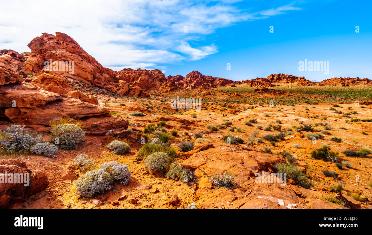The bright red Aztec sandstone rock formations in the Valley of Fire ...