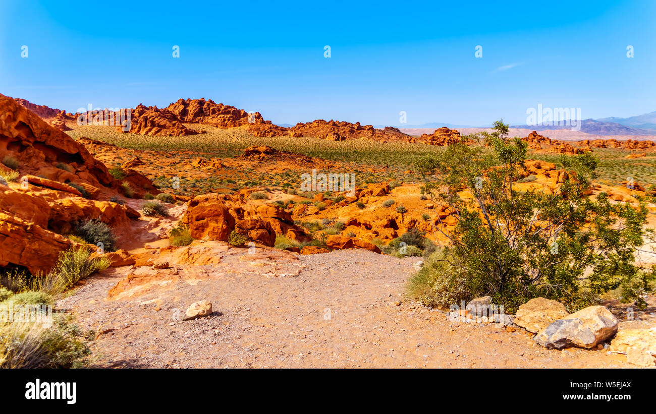 The bright red Aztec sandstone rock formations in the Valley of Fire ...