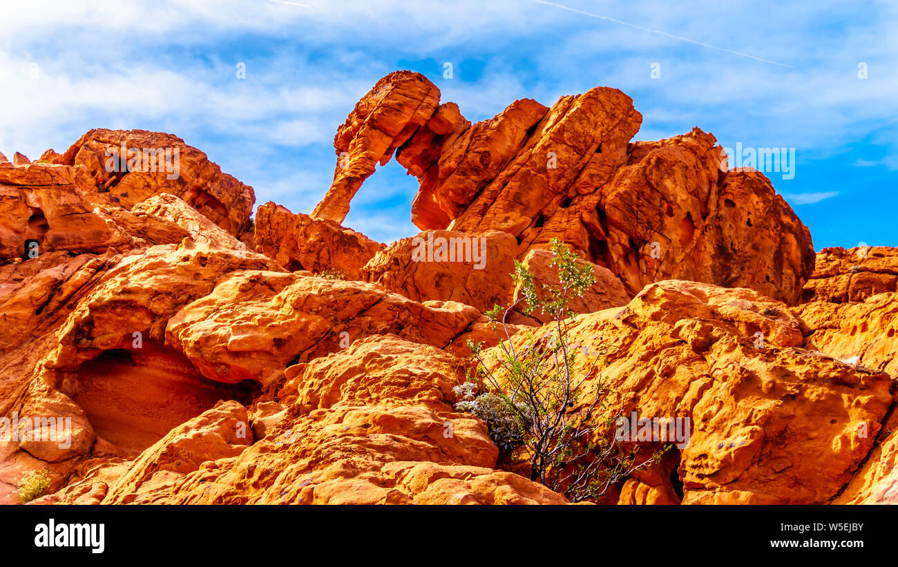 Elephant Rock, one of the many bright red Aztec sandstone rock ...