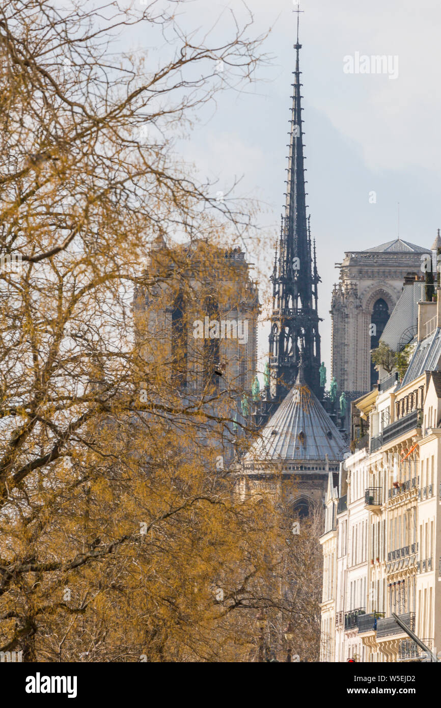 View of Notre Dame Cathedral through trees in early spring, Paris Stock ...