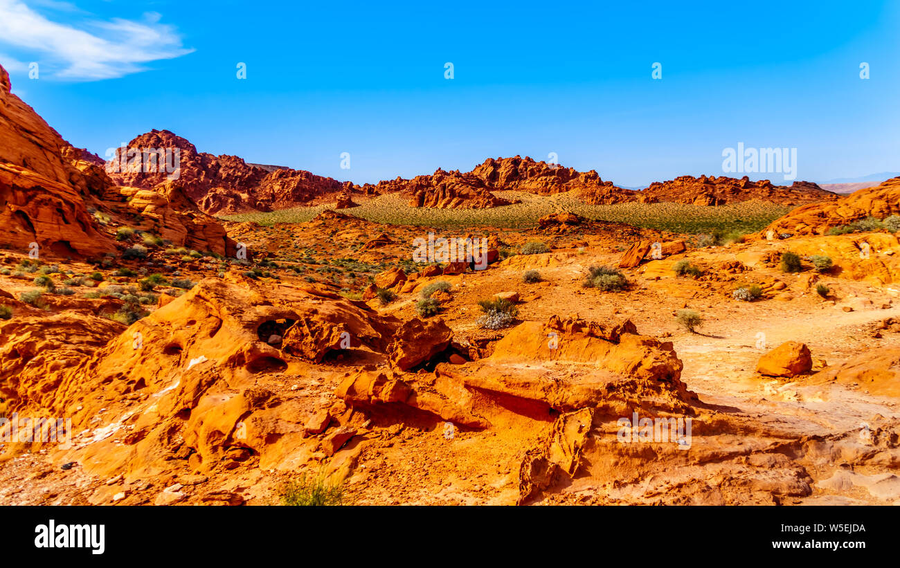 The bright red Aztec sandstone rock formations in the Valley of Fire ...