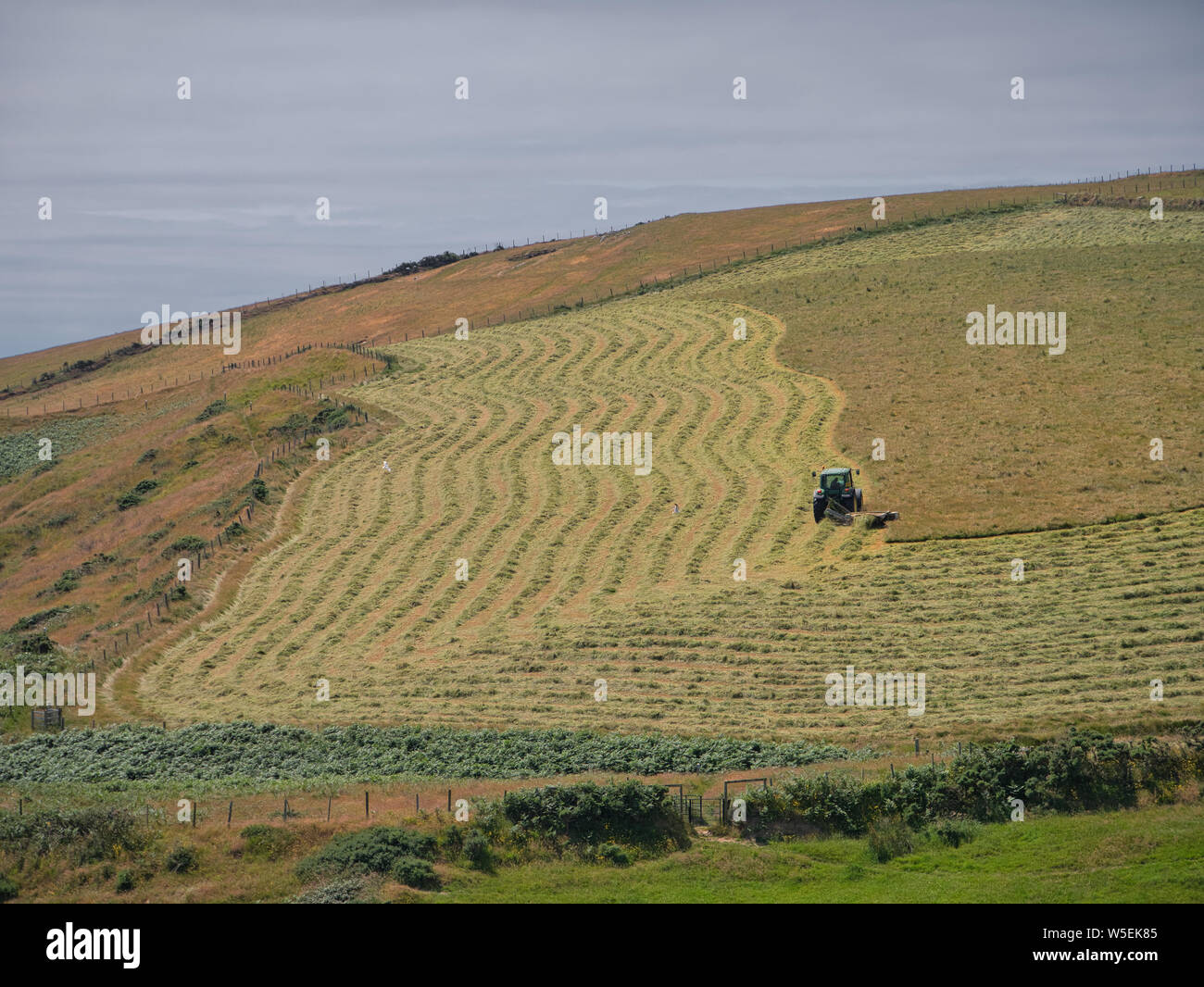 Silage Silaging High Resolution Stock Photography and Images - Alamy