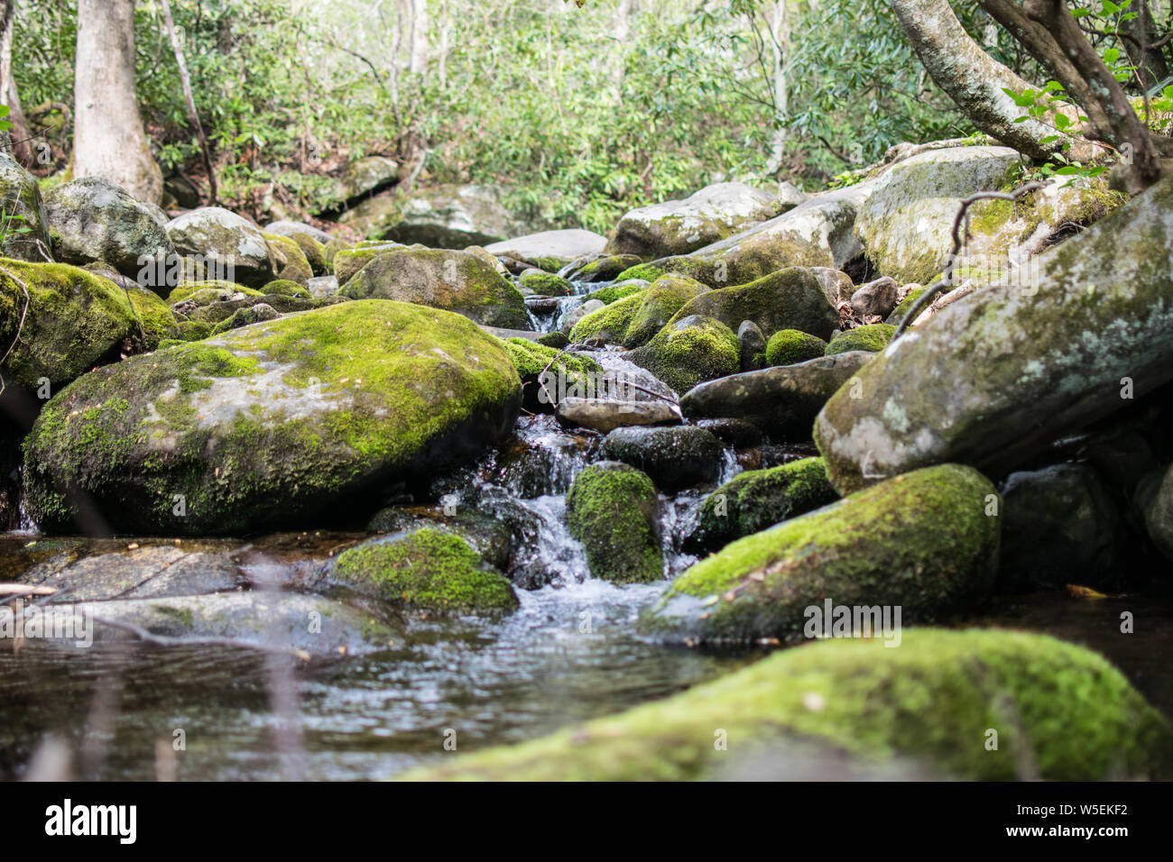 Trickling brook hi-res stock photography and images - Alamy