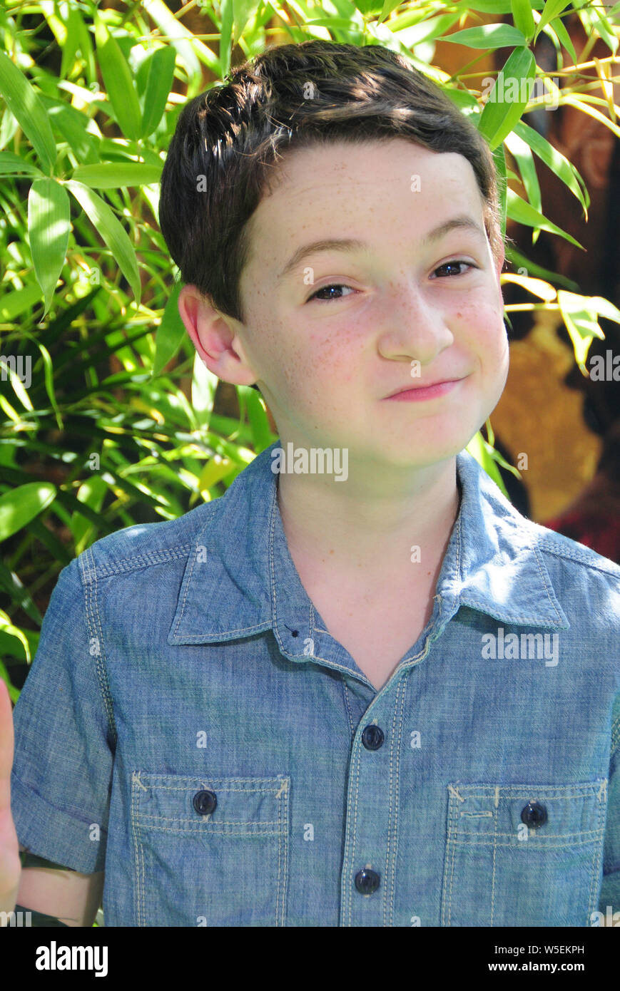 Los Angeles, California, USA 28th July 2019 Actor Jason Maybaum attends ...
