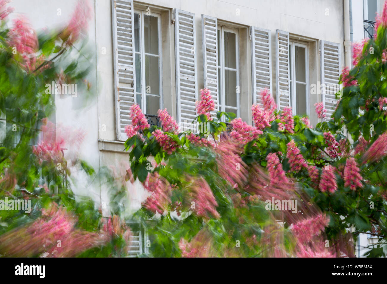 Paris spring place dauphine hi-res stock photography and images - Alamy