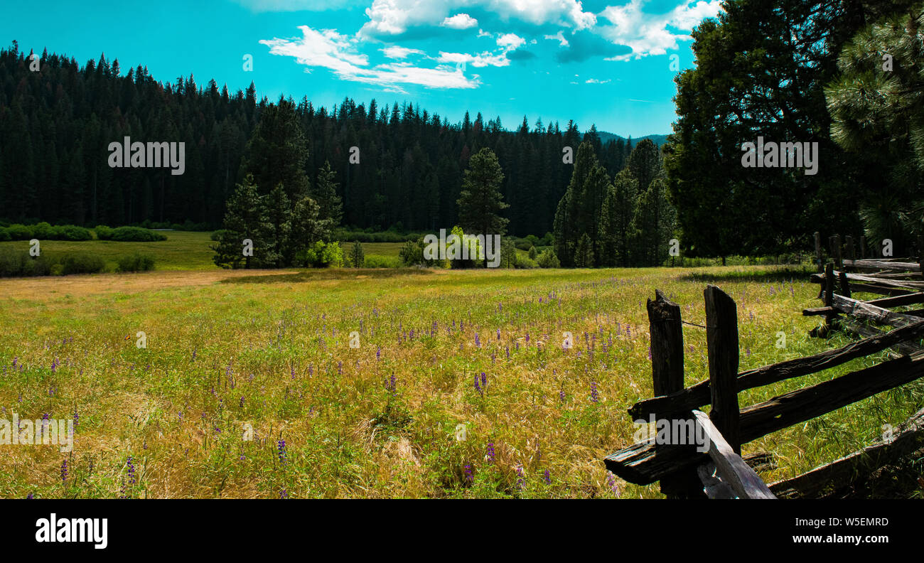 Yellowstone National Park Prairie Land Stock Photo - Alamy