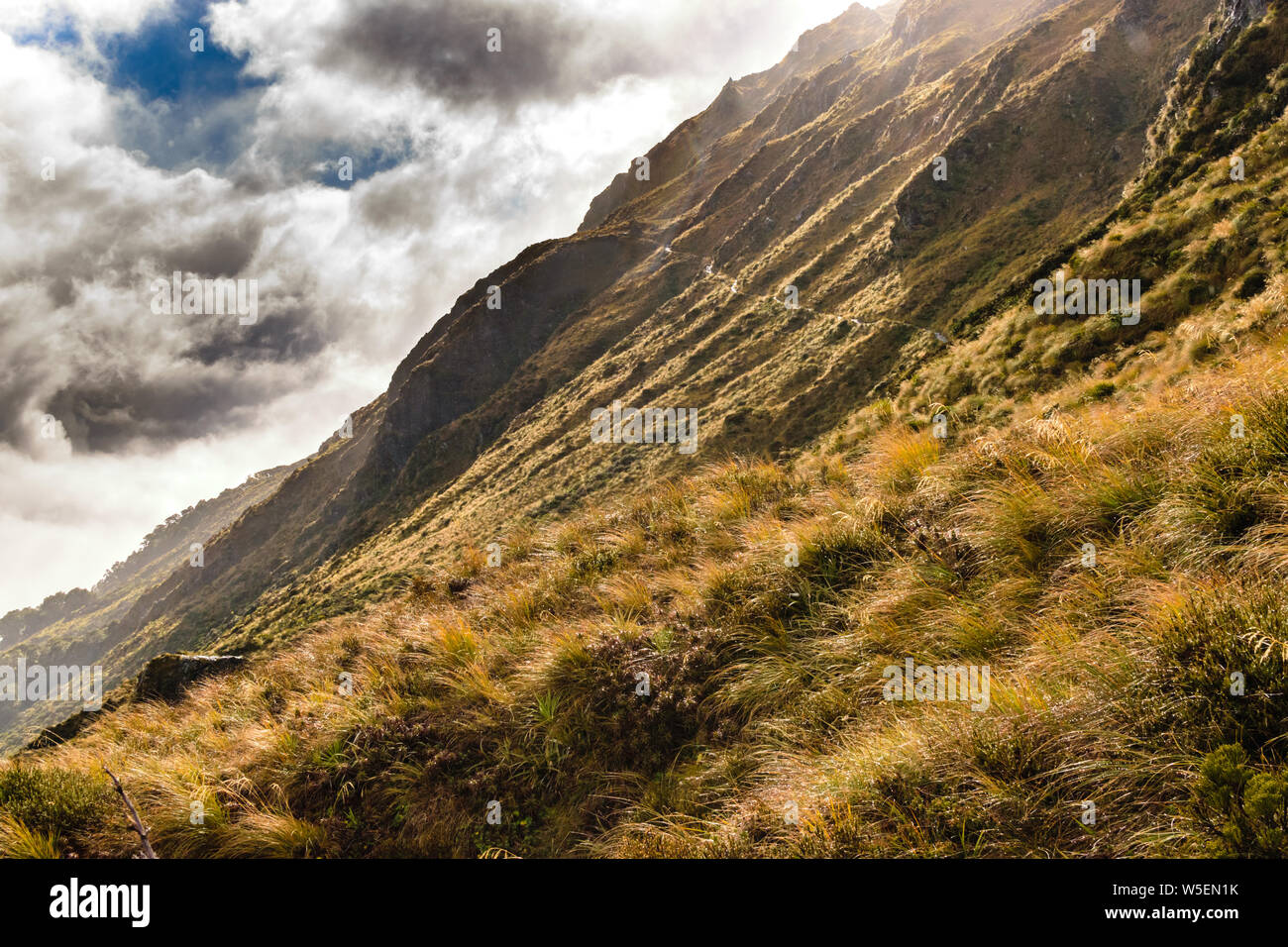 New Zealand Southern Island Natural Landscape Routeburn Tramp Stock ...