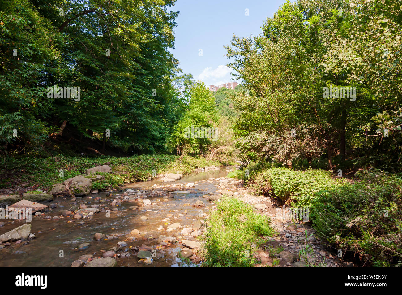 Nine Mile Run, a stream in Frick Park, Pittsburgh, Pennsylvania, USA ...