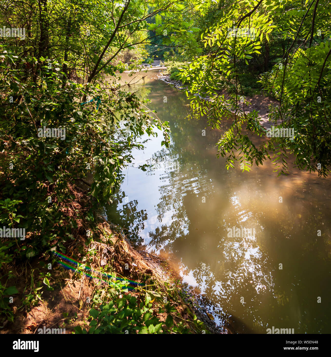 Nine Mile Run, a stream in Frick Park, Pittsburgh, Pennsylvania, USA ...