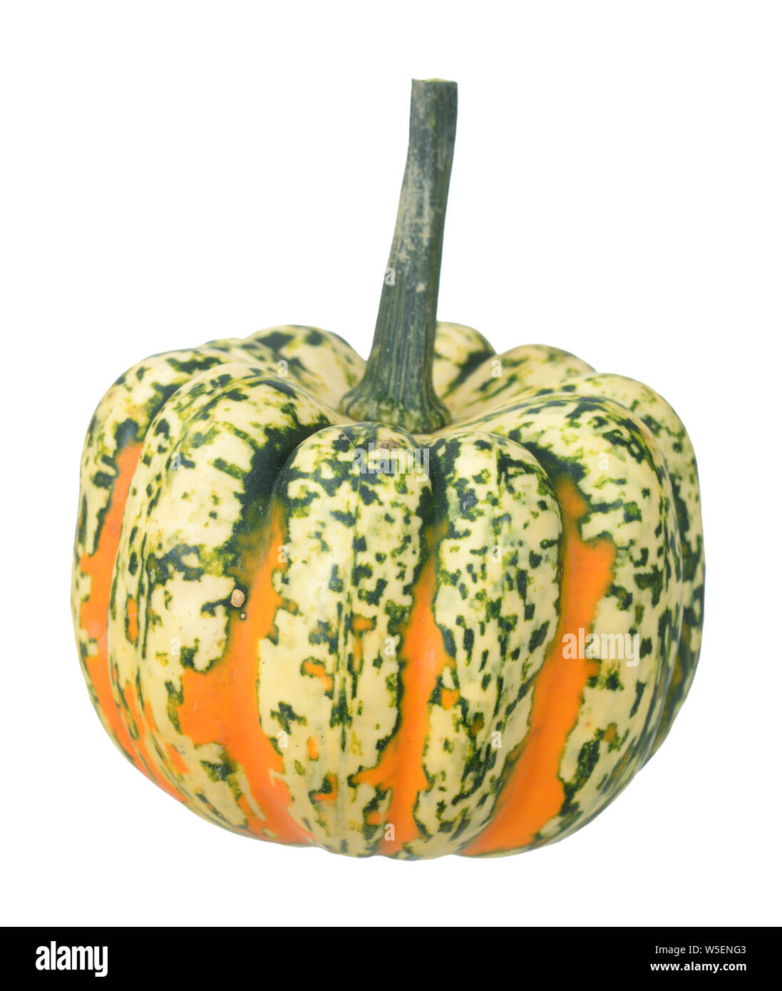 single mini pumpkin isolated on white background Stock Photo - Alamy