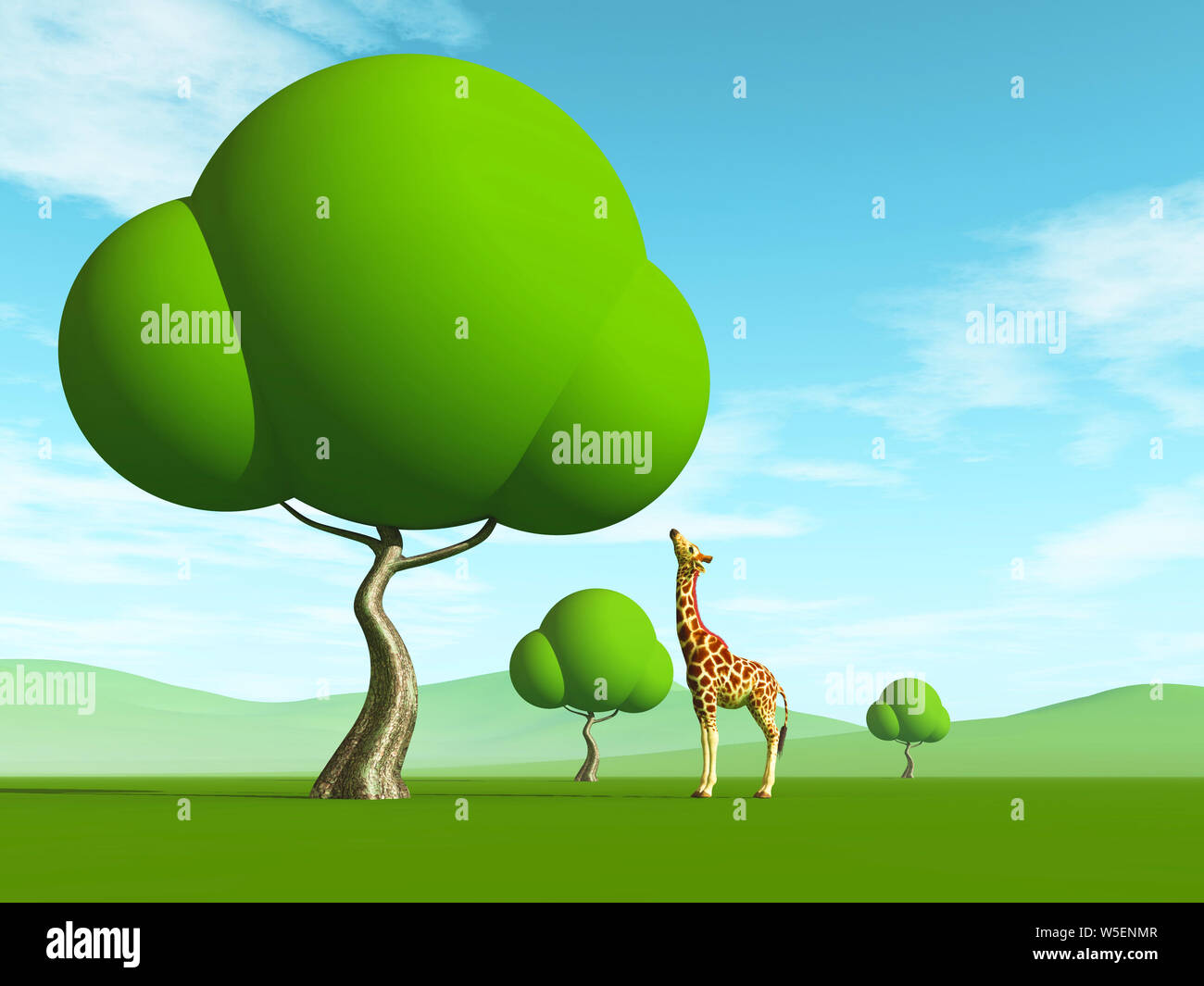 Round shaped trees hi-res stock photography and images - Alamy