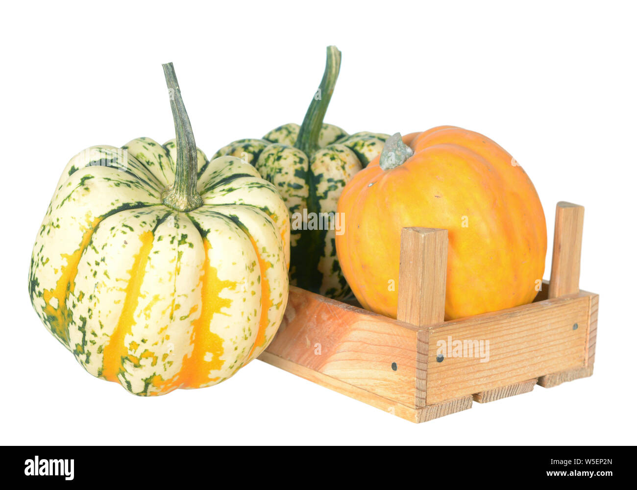 Mini lantern Cut Out Stock Images & Pictures - Alamy